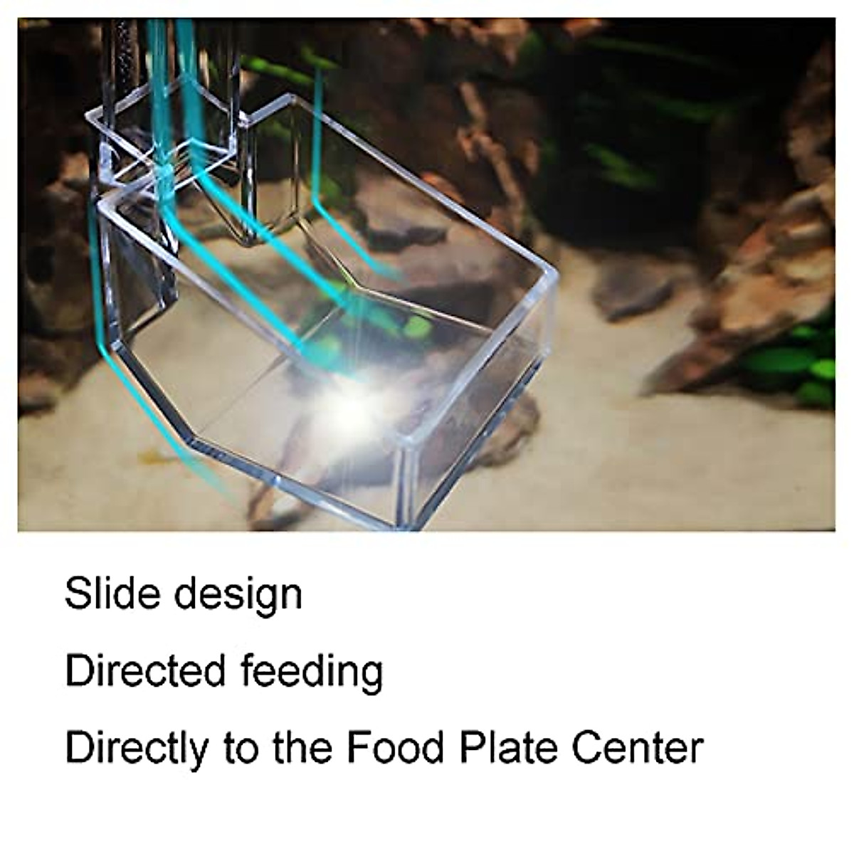 Shrimp Feeder Tube and Plate, Clear Acrylic Shrimp Feeding Dish with Long Tube Acrylic Fish Feeder Tray Container Bowl