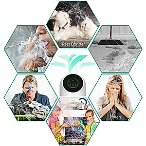 Afloia Air Purifier for Home Large Room H13 True HEPA Filter Air Cleaner with 24db Sleep Mode Remove 99.99% of Dust, Pet Dander, Pollen for Office, Bedroom, Fillo White