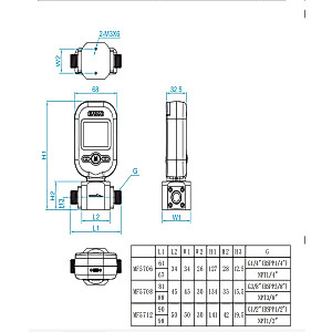 cjc Digital Gas Flow Meter Tester, Portable Gas Mass Air Nitrogen Oxygen Flow Rate Meter (MF5706 (0-20L/min))