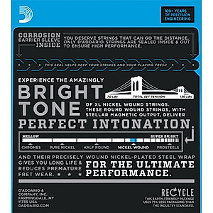 D'Addario Regular Light Nickel Wound Electric Guitar Strings 10-46 2 Pack