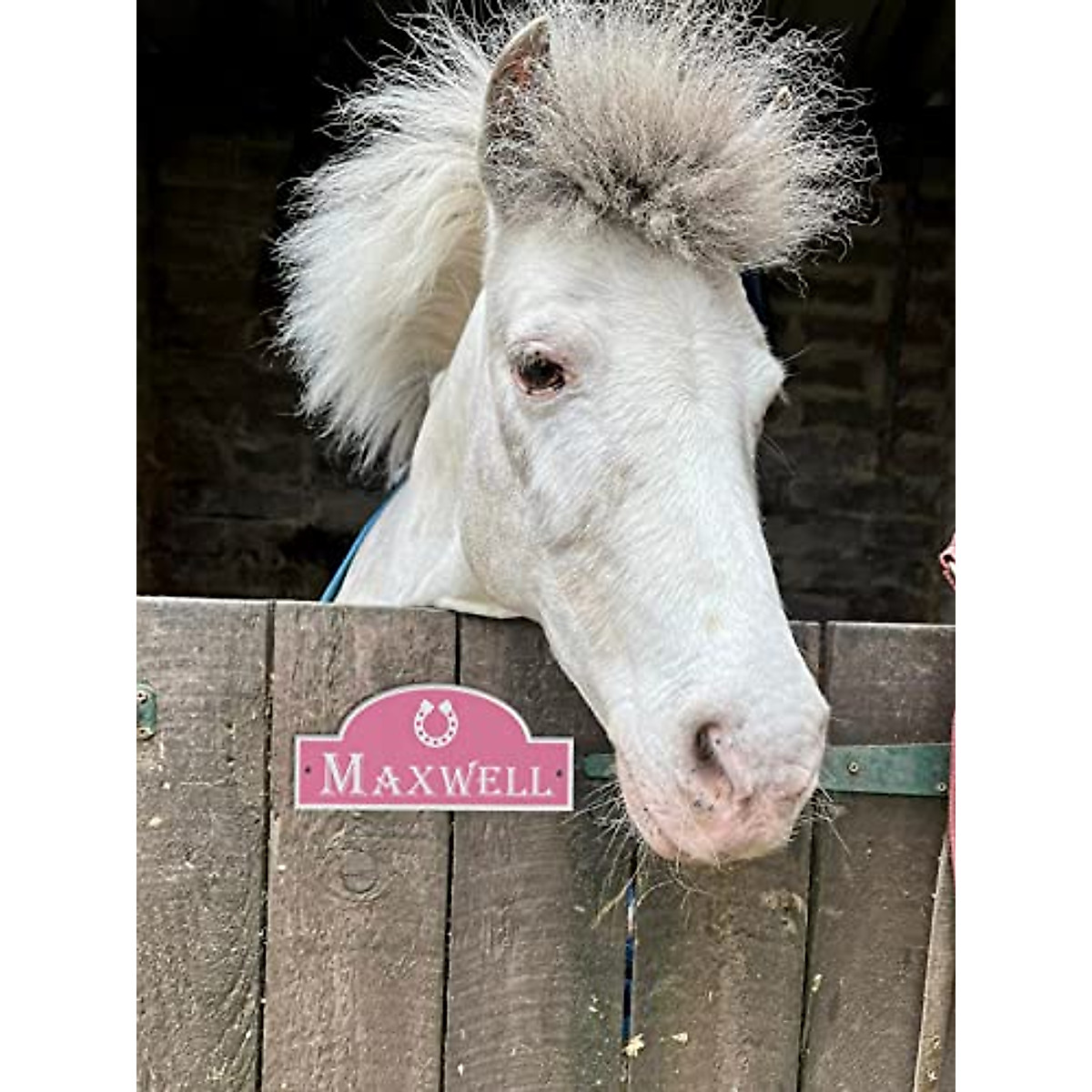 Acrylic Horse Stall Name Plate, 3.4" x 7.8" Personalized Stall Signs, UV Protected, Custom Pet Name Sign, All Weather Adhesive, Mounting (Printing-Colorful)