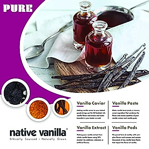 Native Vanilla Grade B Tahitian Vanilla Beans – 10 Total Premium Extract Whole Pods – For Chefs and Home Baking, Cooking & Extract Making – Homemade Vanilla Extract