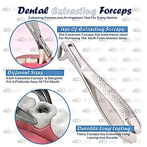 DDP Dental Tooth Extraction Forcep 106 Dentist Lab Tools Stainless Steel