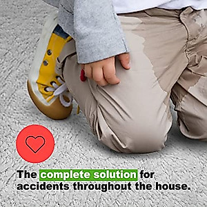 Urine Gone Stream Clean, Heavy Duty Carpet Stain & Odor Eliminator Deep Cleans with Fast Acting Natural Enzymes + Probiotics Eliminating Stains and Odor Permanently, No Scrubbing, 18 oz. (1pack)