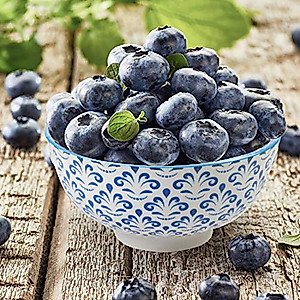 Farielyn-X 8 Pack Small Ceramic Bowls - Porcelain, Soup, Salad, Pasta, Rice, Dessert, Yoghurt, Condiments, Side Dishes, Dip, Ice Cream Ceramic Bowls, 4.75 Inch Diameter, 10 Fluid Ounce (1.25 Cup) Capa