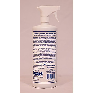 Pool & Spa Cleaner (32 FL Oz)