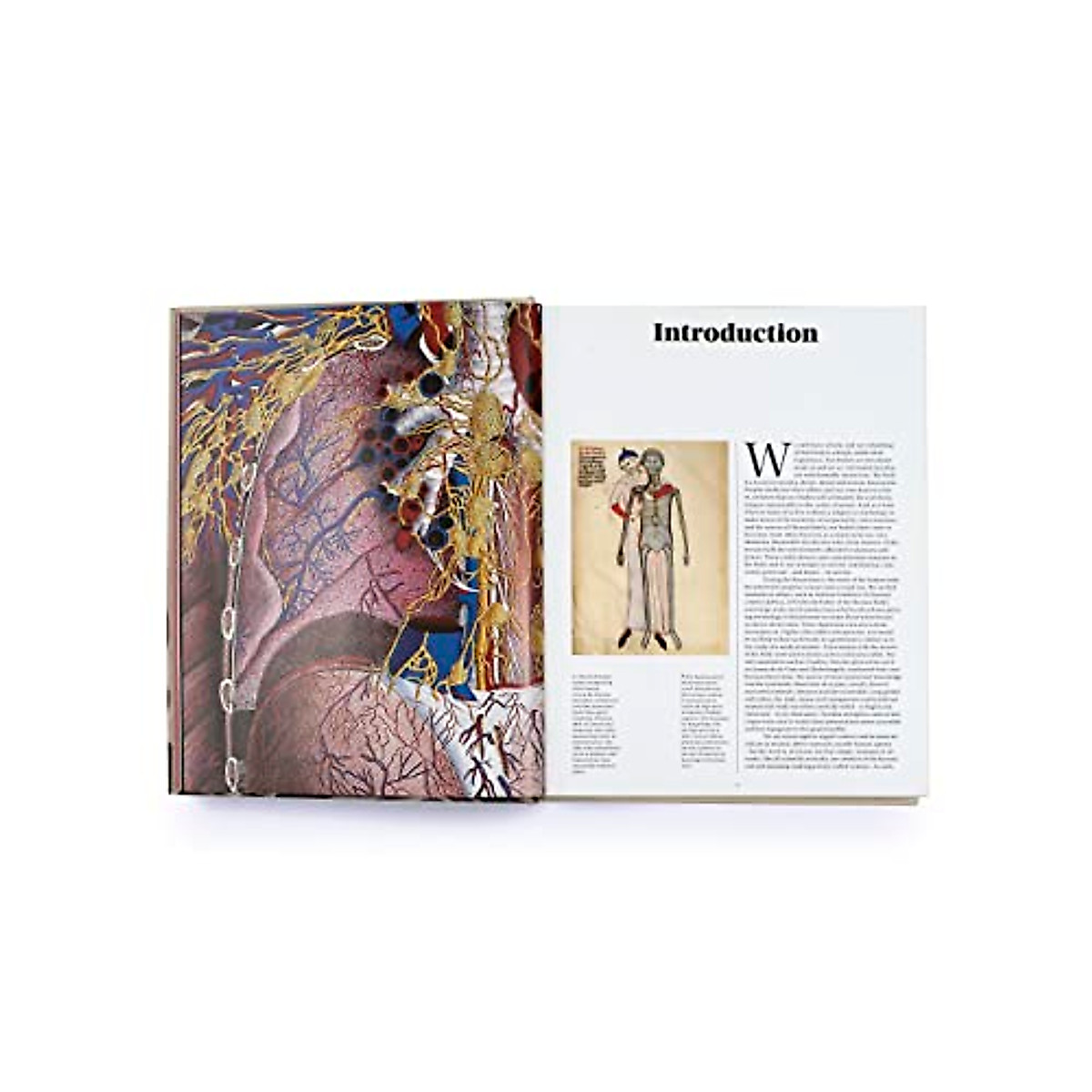 Anatomica: The Exquisite and Unsettling Art of Human Anatomy