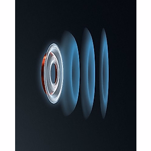 Sennheiser HD 800 Reference Dynamic Headphone