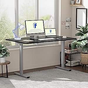 FLEXISPOT Electric Height Adjustable Desk with Desktop, 48 x 30 Inches, Standing Desk Stand Up Desk Workstation (Silver Frame + 48 in Black Top)