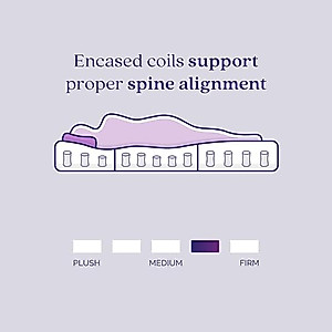 Signature Sleep Contour Plus 10-Inch Reversible Pocket Spring Mattress, Twin