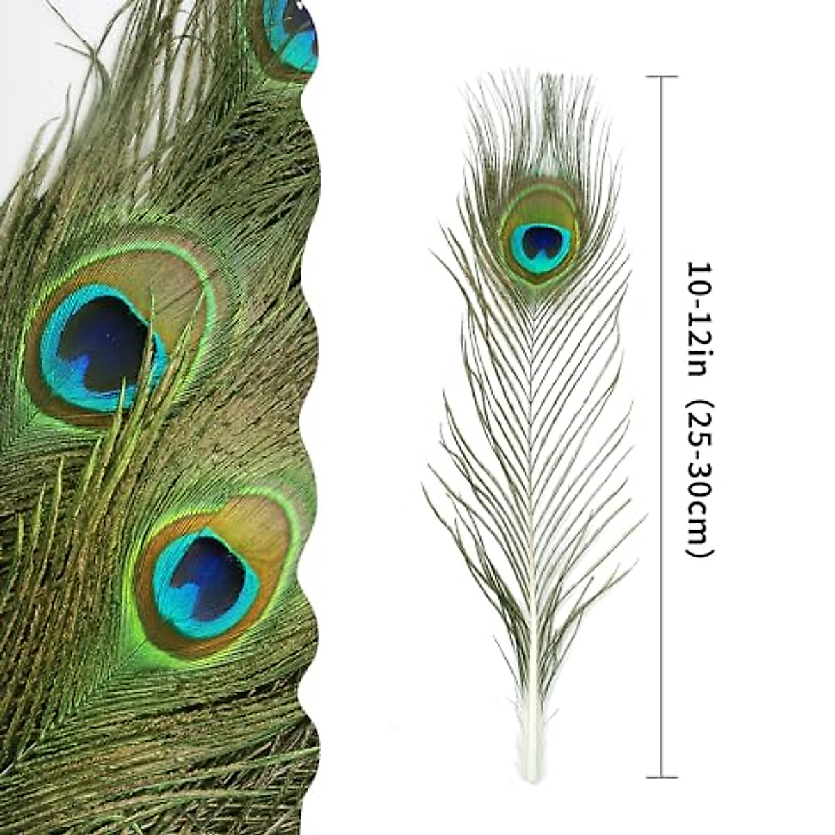 iHUFeather 10PCS Real Natural Peacock Eye Feathers 10-12 inch for DIY Craft Floral Arrangements,Wedding,Home and Party Decorations Feathers,Natural