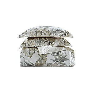 Tommy Bahama - Queen Comforter Set, Reversible Cotton Bedding with Matching Shams, Medium Weight Home Decor for All Seasons (Waimea Bay Green, Queen)