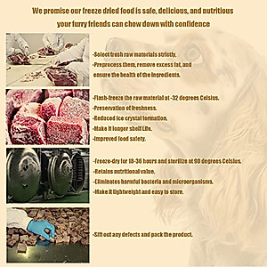 RA NOVA Freeze Dried Dog Treats - 100% Duck Breast Grain Free - Natural Balanced Single Ingredient Raw Dog Snacks - Dry Dog Food Topper 100g/3.53oz