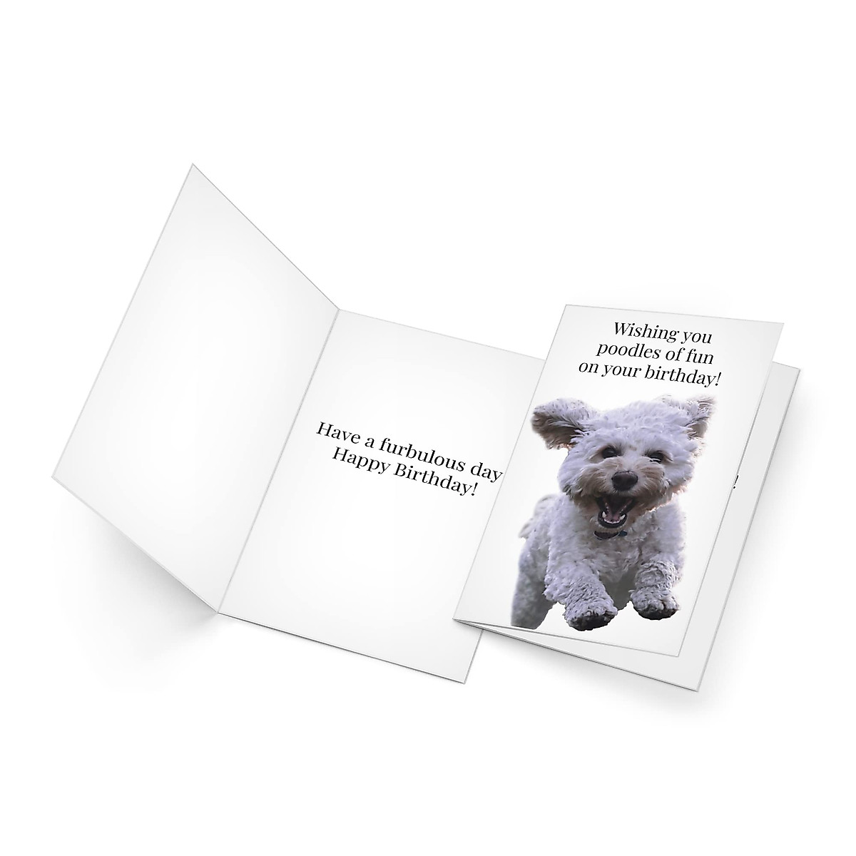 Prime Greetings Funny Dog Birthday Card Pun With Poodle, Made in America, Eco-Friendly, Thick Card Stock with Premium Envelope 5in x 7.75in, Packaged in Protective Mailer