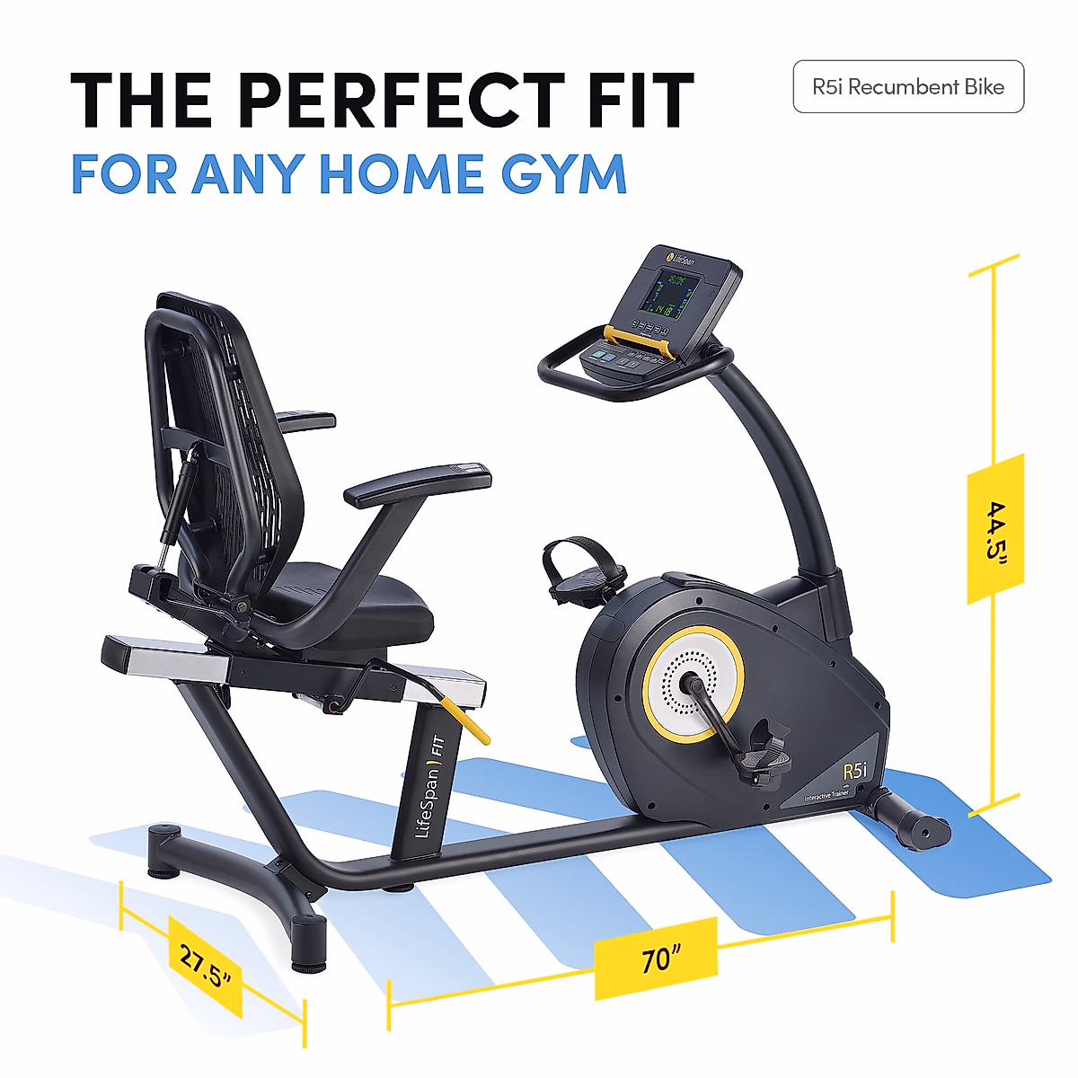 LifeSpan Fitness Recumbent Bike LifeSpan R5i Recumbent Stationary Bike, Black