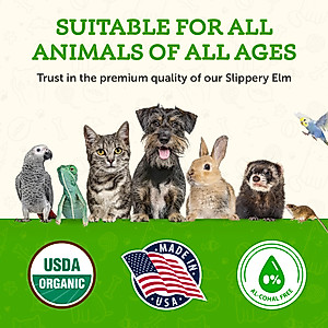 Animal Essentials Slippery Elm - Herbal Extract for Dogs and Cats, Promotes Healthy Digestion, Bowel Function, Certified Organic Herbs, All Natural, Respiratory Health, Liquid Formula - 1 Fl Oz