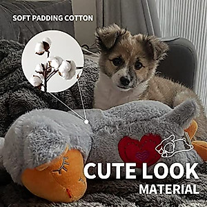 ALL FOR PAWS Heart Beat Dog Toy, Puppy Sleeping Buddy Cuddle Toy Dog Soothing Plush Toy, Crate Training Puppy Stuffed Animal Toys