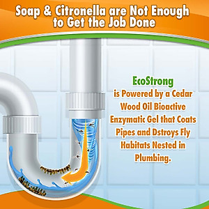 Fruit Fly Drain Treatment | Drain Fly Eliminator | All-Natural, Eliminates Gnats, Sewer Flies and More - Works in All Drains - 1 Gallon