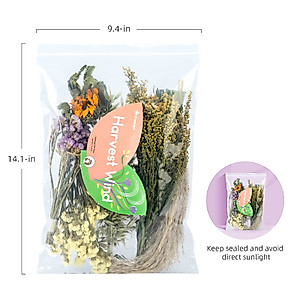 Niteangel Natural Flower & Herb Bedding Habitat Decor - for Hamsters Gerbils Mice Lemming Degus or Other Small Pets (Harvest Wind - Flower Version)