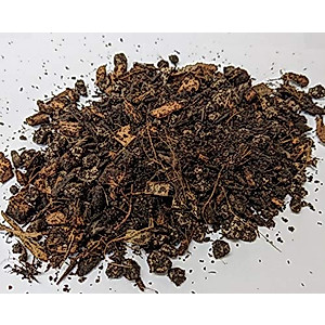 De La Tanks House Plant Mix 8 qt Bag - Premium Indoor Plant Soil Superior Indoor Potting Soil All-Purpose Potting Mix for Houseplants - Potting Soil for Indoor Plants All-Purpose Potting Mix