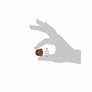 Abbott Collection Amber Gem Acorns (Set of 15)