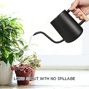 Watering Can Indoor Plants, 35 oz/1000 ml Metal Stainless Steel Watering Can Pot with Long Spout for Indoor House Plants Bonsai Outdoor Garden Flower Decorative (Black)