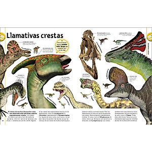 El libro de los dinosaurios (The Dinosaur Book) (DK Our World in Pictures) (Spanish Edition)