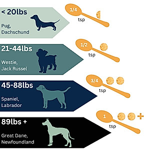 CurcuPet-K9 Joint Supplement for Dogs | Supports Cartilage, Connective Tissue and Overall Joint Health, 56 Tablets | Suitable for All Breeds and Sizes
