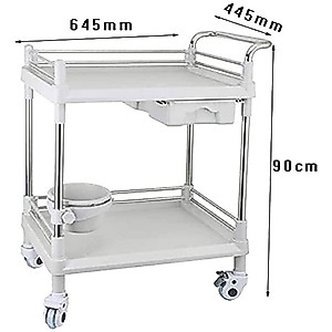 2-Layer Stainless Steel Medical cart, Beauty cart, Musical Instrument cart with Drawers and rotatable Dirt Bucket (Size : Small)