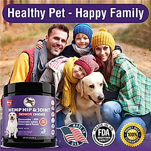 WIZARDPET Mobility Hemp Oil Hip & Joint Supplement for Senior Dogs - Chondroitin Glucosamine MSM Turmeric Green Lipped Mussel - Extra Strength Formula for Arthritis Pain Relief & Mobility | 90 Chews