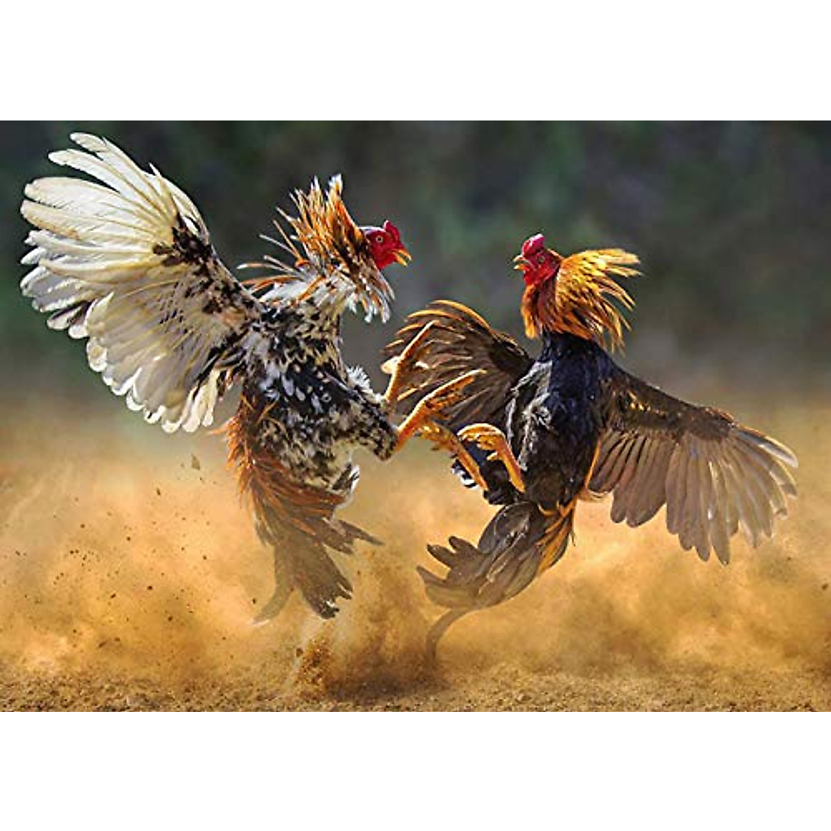 HULX POWER PLUS 100 TABLETS, Fast Increasing Energy Formula Rooster Booster Vitamins Health Chicken Supplement for Good Health, Build Muscle, Blood, Power Feed Poultry Bird Fighting Gamecocks Hen Food