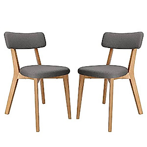 Fishat Simple Double Rod Garment Rack & SAH Solid Wood Dining Chair Set of 2