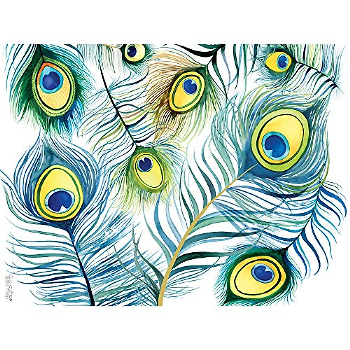 Tervis Peacock Tumbler with Wrap and Turquoise Lid 24oz, Clear