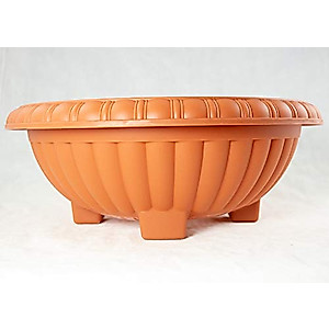Calibonsai Japanese Plastic Bonsai Training Pot Home Garden Planter 13 inches x 13 inches x 5 inches - Orange