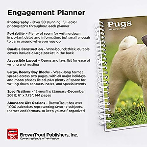 Labrador Retrievers 2021 Calendar