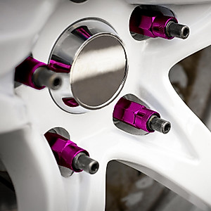 Dorman 713-385J Purple Open End Knurled Wheel Nuts Compatible with Select Models, 20 Pack