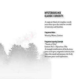 Layered Fragrance Body Spray for Men and Women from Japan 3.4 Fl Oz/ 100 mL Mysterious Mix