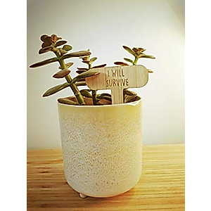 Funny Plant Markers - Joke Punny Garden Stakes - Ideal for That Garden Lover - Indoor Outdoor Plant Label Sign Markers (Joke Set)