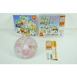 Netto de Para [Japan Import]
