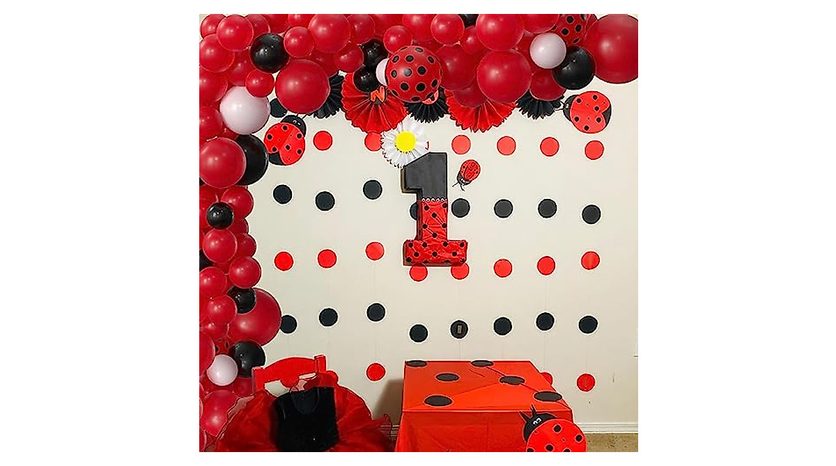 HYOWCHI Ladybug Party Supplies - 151 Pcs Ladybug Birthday Party ...