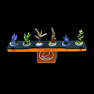 ESHOPPS Alpha Rack Nano Magnetic Coral Frag Rack with Strong Anti-Slip Rubber Padded Magnet for Nano Reef Tanks, Holds 6 Frags
