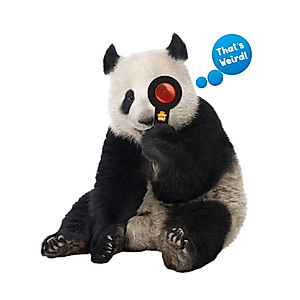 Buffalo Games - Weird But True Game