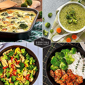 Waltham 29 Broccoli Seed for Planting - Packet with Instructions to Plant & Grow Cool Weather Broccoli in Your Home Vegetable Garden - Non-GMO Heirloom Variety - Survival Garden Seeds - 3 Pack