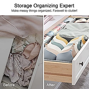 MONINXS Clothes Drawer Organizers Grey & 6-Shelf Hanging Closet Organizer Black