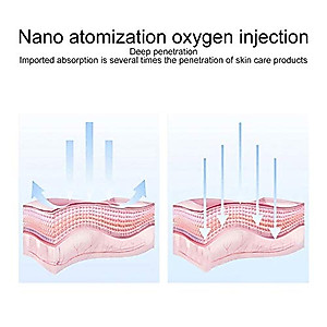Professional Oxygen Facial Machine, Portable Water Oxygen Sprayer, Face Skin Moisturizing Handheld Oxygen Injection Machine, Water Oxygen Airbrush
