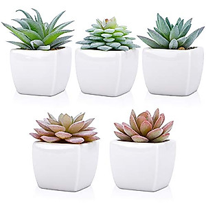 FUNARTY 5pcs Artificial Succulent Plants in White Ceramic Pots, Fake Small Fake Plants, Faux Mini Succulents Plants Indoor for Desk Living Room Bedroom Windowsills Office Home Decoration
