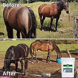 Stance Equitec Re Move - Horse Supplements That Support The Body's Normal Process to Remove Ingested Toxins, Contains Probiotics - 8.8 lb