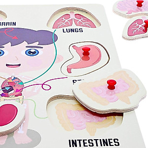 Blue Panda 2 Pack Educational Wood Peg Anatomy Puzzle Toys for Kids Game, Human Body Parts