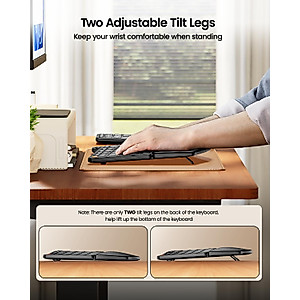 ProtoArc Wireless Ergonomic Keyboard, EK04 2.4GHz Wireless Ergo Keyboard with Separate Numeric Keypad, Split Design, Wrist Rest, Rechargeable, for Desktop, PC, Laptop