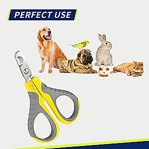 WePet Pet Nail Clippers, Professional Claw Trimmer, Scissor for Cats, Dogs, Puppies, Kittens, Hamsters, Rabbits and Small Animals, Sharp, Safe